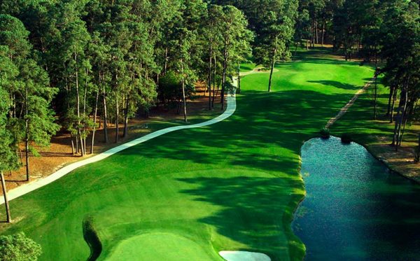 Golf Course Arborist Tree Service | Golf Course Tree Management